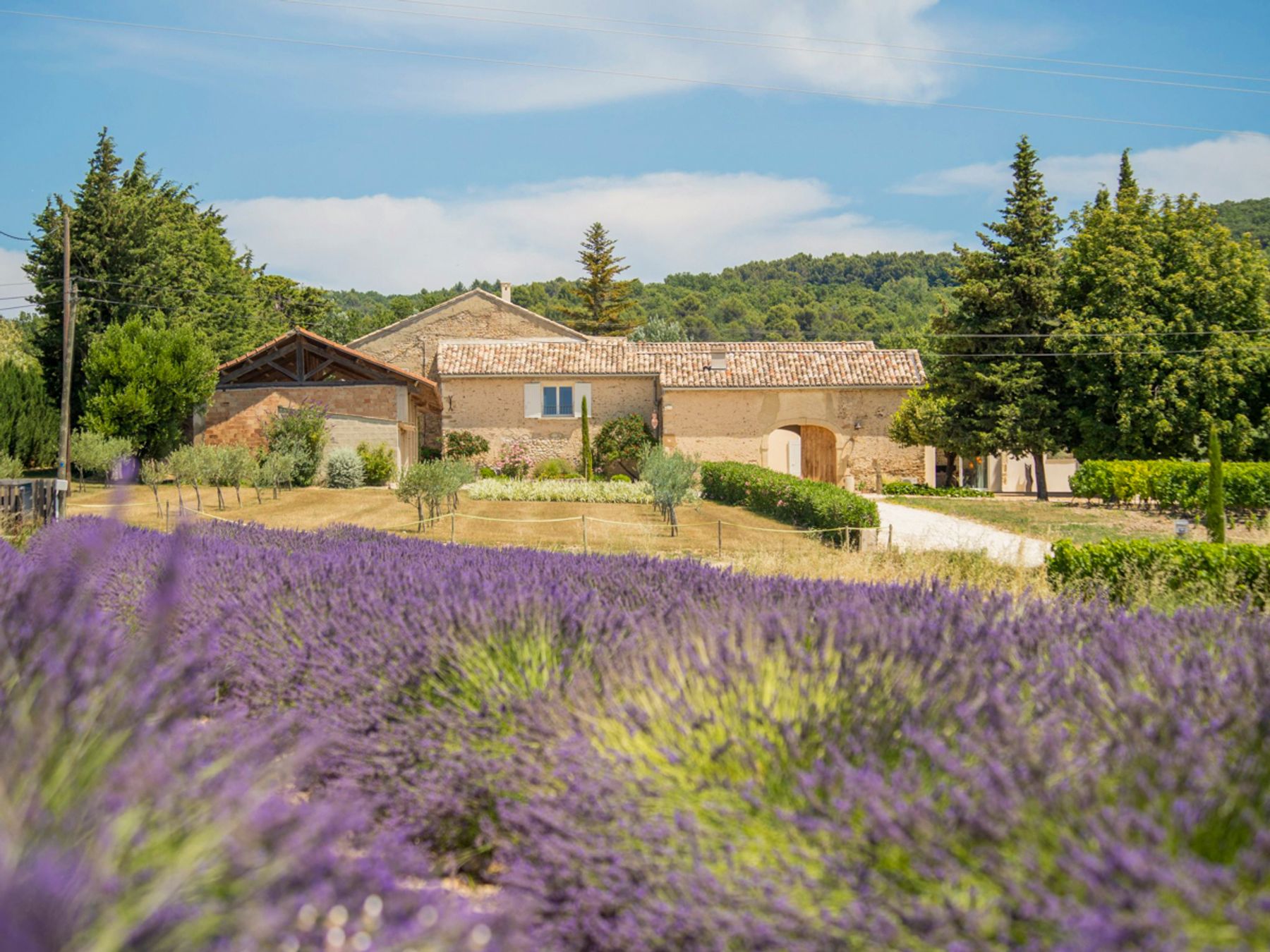 Maison Macaron, Provence-Alpes | Oliver's Travels